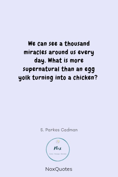 Chicken Quotes to Feather Your Day - NoxQuotes